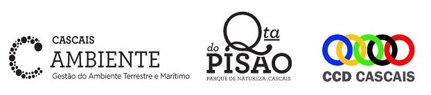 Cabazes Biológicos – Já encomendou o Seu? – CCDPM Cascais